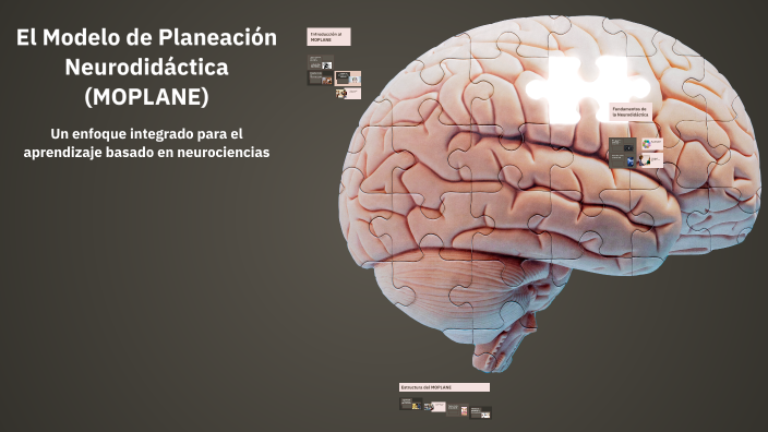 El Modelo de Planeación Neurodidáctica (MOPLANE) by Kelly Johana ...