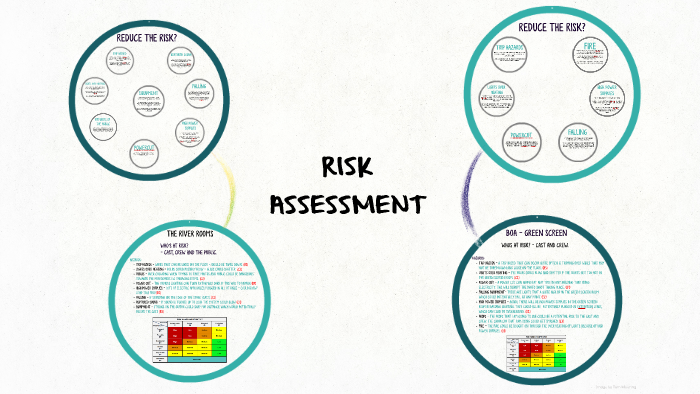 RISK ASSESSMENT by Lauren Homer
