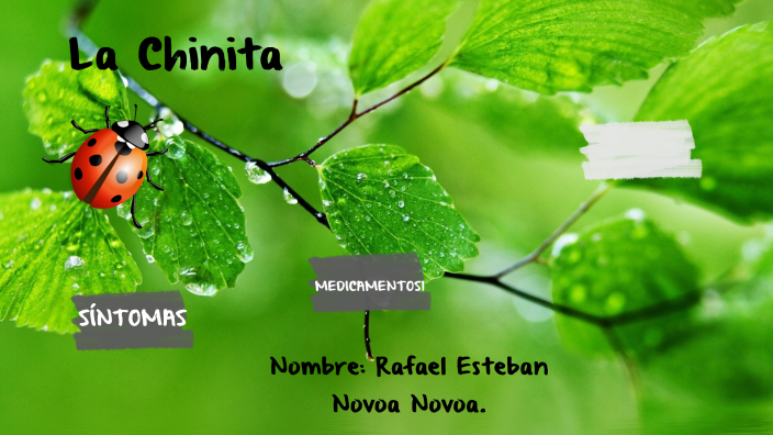 LA CHINITA by Rocío Novoa Diaz on Prezi