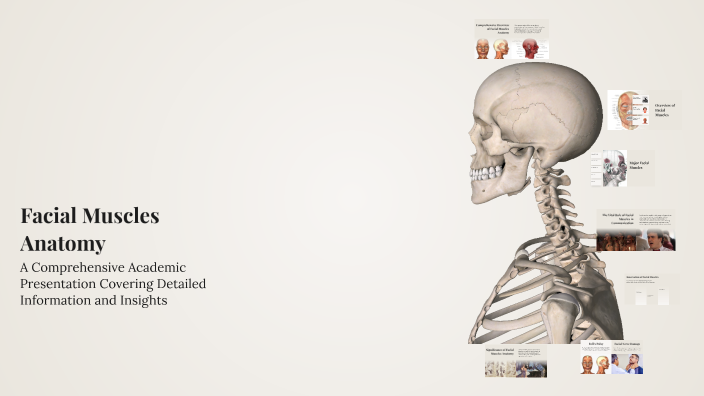 Facial Muscles Anatomy by tela Z on Prezi