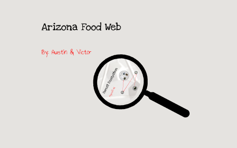 AZ Food Web by austin grant on Prezi