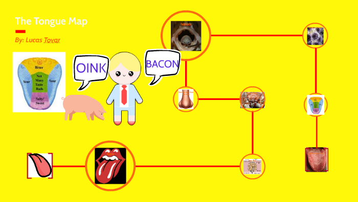 The Tongue Map by lucas tovar on Prezi