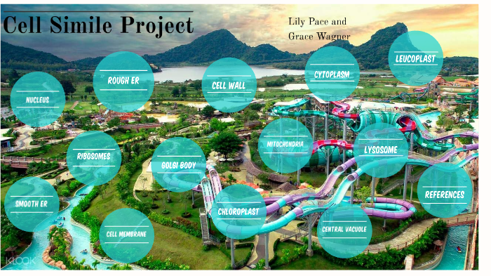 Cell Simile Project by Grace Wagner on Prezi