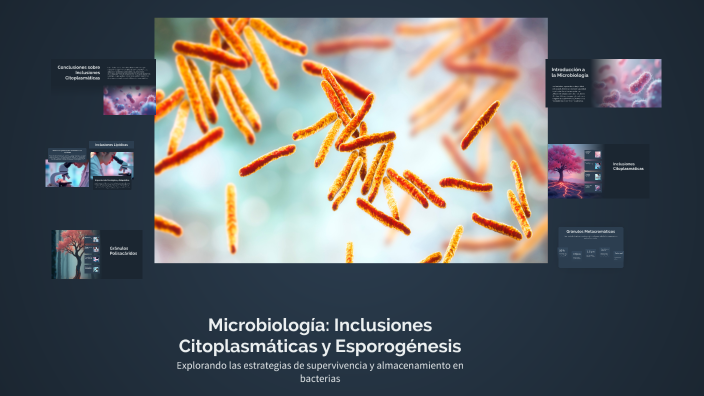 Microbiología: Inclusiones Citoplasmáticas y Esporogénesis by Yoatzin ...