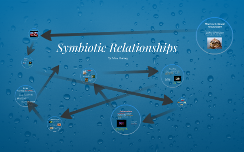 Symbiotic Relationships by Elizabeth Harvey on Prezi
