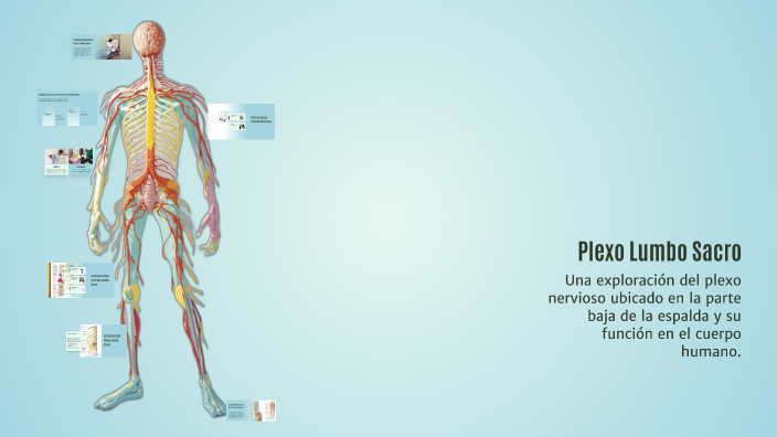Plexo Lumbo Sacro by Javiera Araya Macaya on Prezi