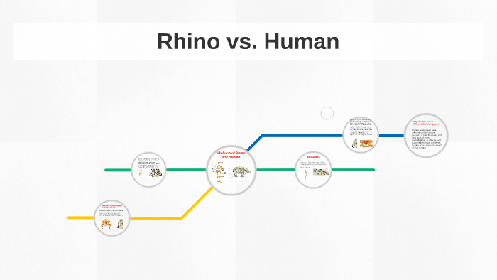 Rhino vs. Human by DaHee Kim on Prezi