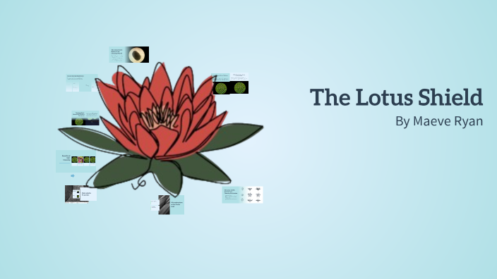The Lotus Shield by Maeve Ryan on Prezi