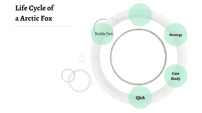 Life cycle of arctic fox by Roselyn lemus on Prezi