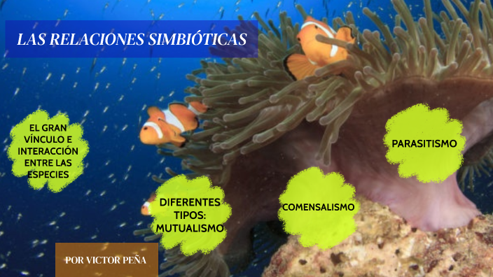LAS RELACIONES SIMBIOTICAS by VICTOR MANUEL PE A QUI ONEZ on Prezi