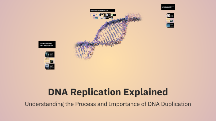 DNA Replication Explained by anthony Ez on Prezi