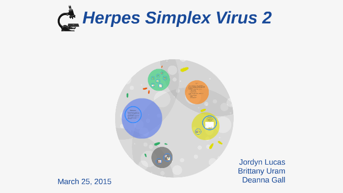Herpes Simplex Virus 2 by Jordyn Lucas on Prezi