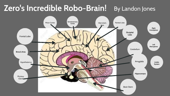 Zero's Incredible Robo-Brain! by Thomas Jones on Prezi