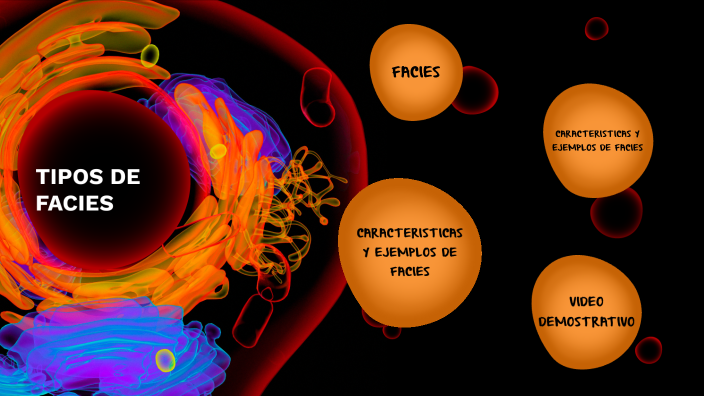TIPOS DE FACIES by Ñockis Ñockis on Prezi