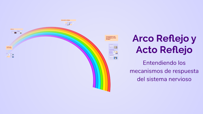 Arco Reflejo y Acto Reflejo by kerlyn lopez on Prezi