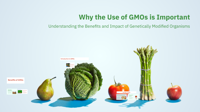 Why the Use of GMOs is Important by Katelynn on Prezi