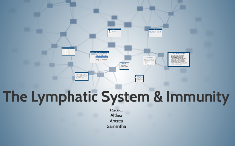 The Lymphatic System & Immunity by Samantha Presentation on Prezi
