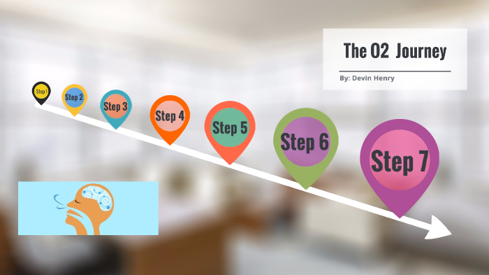 Journey of an O2 Molecule Through the Body by Devin Henry on Prezi