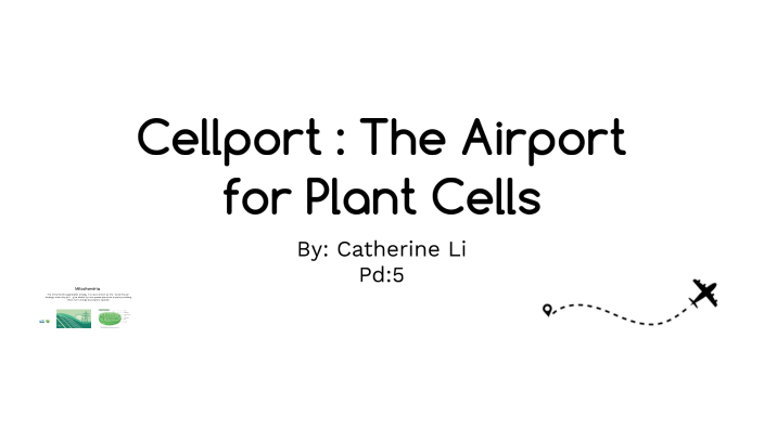 Cellport: The Airport for Plant Cells by Catherine Li on Prezi