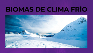 BIOMAS DE CLIMA FRÍO by Andrés Santiago Cárdenas González on Prezi Design