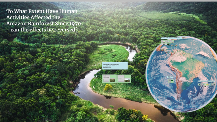 To What Extent Have Human Activities Affected the Amazon Rainforest ...