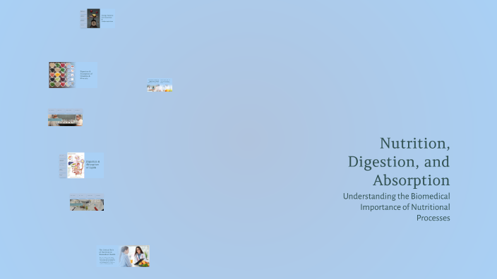 Nutrition, Digestion, and Absorption by Hailey Gantt on Prezi