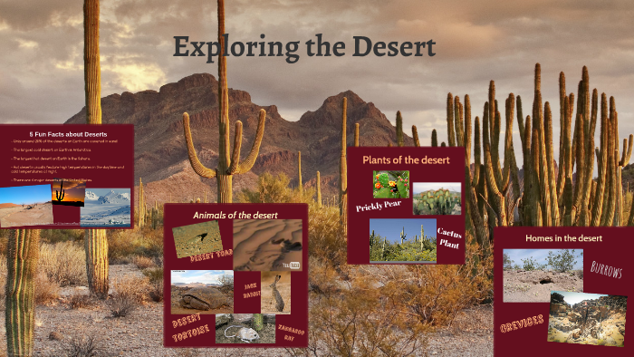 3rd Grade Science- Deserts by Caslyn Rice on Prezi