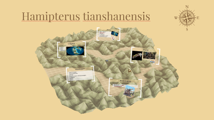 Hamipterus tianshanensis by Maaike Bakker on Prezi