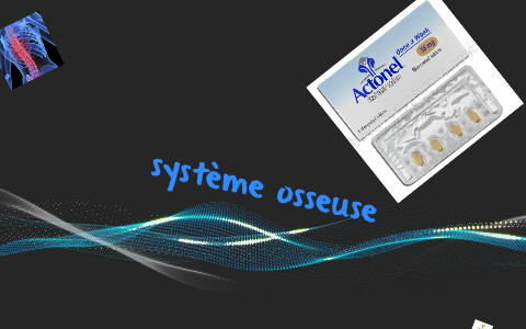 systeme osseuse by jean sfeir on Prezi