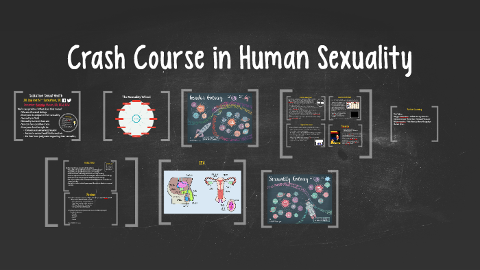 Crash Course in Human Sexuality by Educator SHCS on Prezi