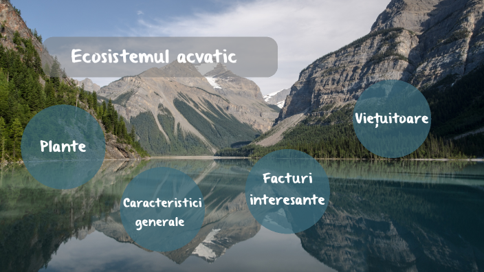 Ecosistemul acvatic by Anghelina on Prezi