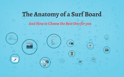 the anatomy of a surfboard by jessica andrews on Prezi