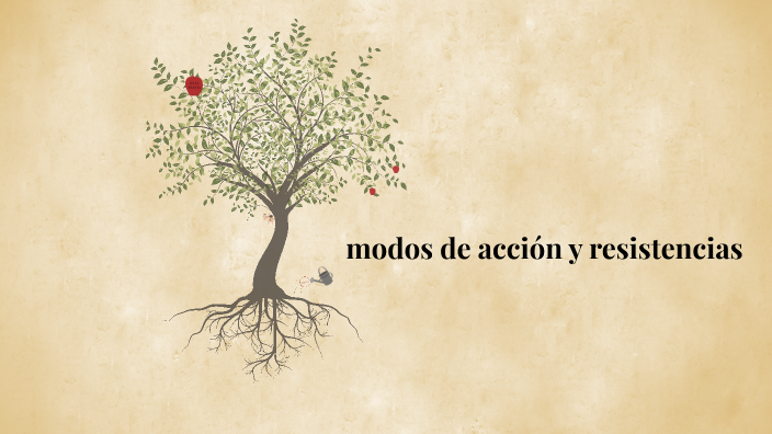 modos de acción y resistencias by odair andrade andrade on Prezi