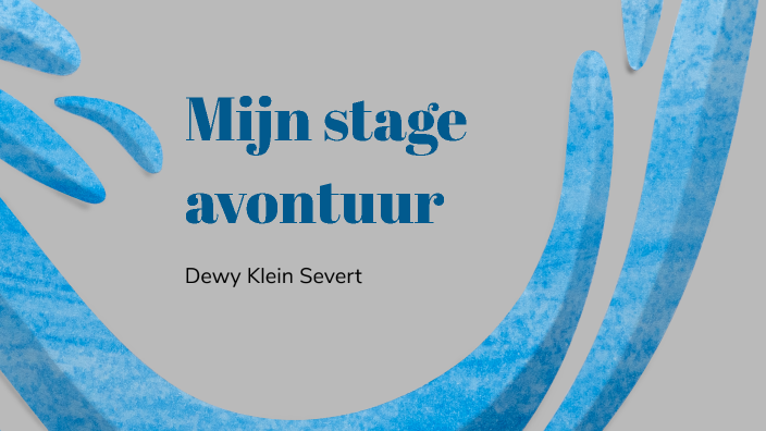 eindpresentatie stage 1 by dewy klein severt on Prezi