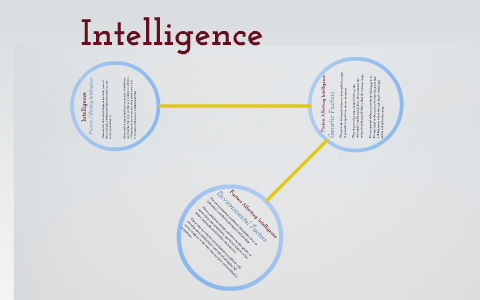 Factors Affecting Intelligence by Daniel Riddle