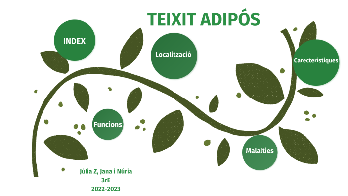 teixit adipòs by Jana Vergara on Prezi