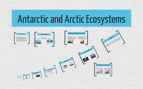 Antarctic and Arctic Ecosystems by Gable Patterson