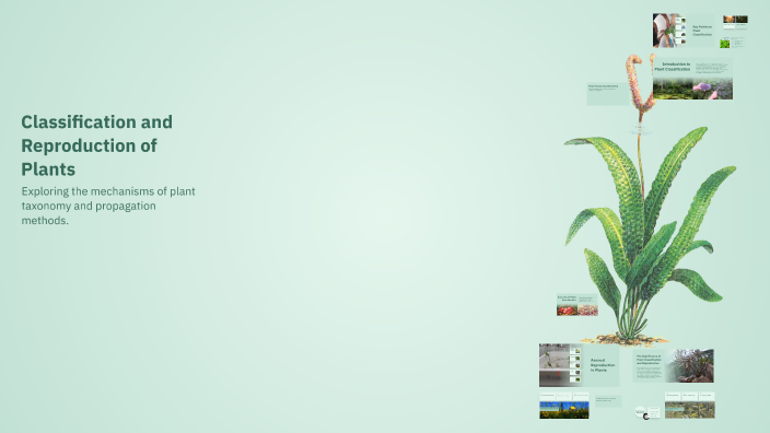 Classification and Reproduction of Plants by cris vicente on Prezi