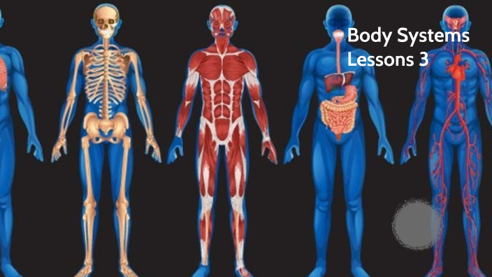 Body Systems Lessons 3 by TD Lin on Prezi