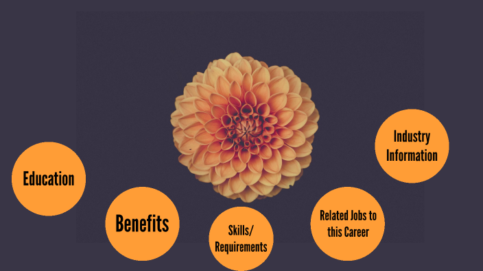 Flight Attendant by Chahat Patel on Prezi