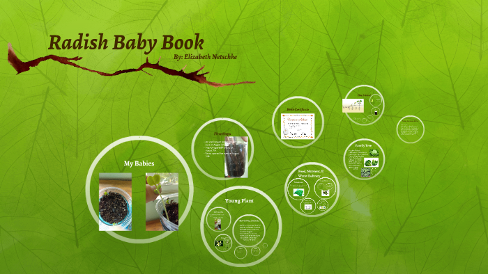 Radish Baby Book by Elizabeth Netschke on Prezi