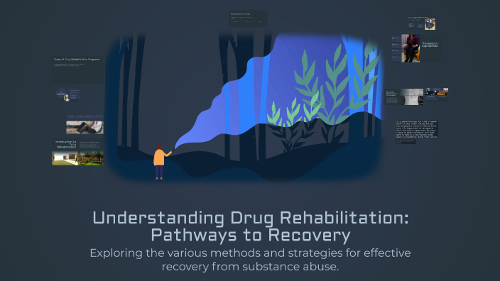 Understanding Drug Rehabilitation: Pathways to Recovery by Hailey James ...