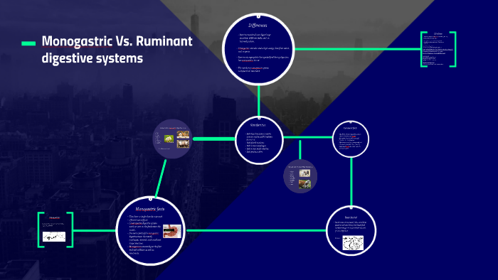 Monogastric against Ruminant digestive systems by rebecca A. on Prezi
