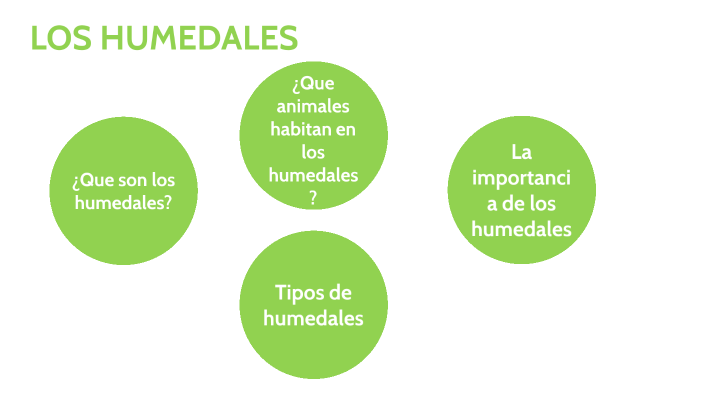 Los humedales by more veron on Prezi