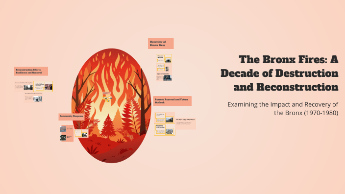 The Bronx Fires: A Decade of Destruction and Reconstruction by Janet ...