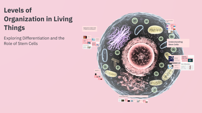 Levels of Organization in Living Things by Allen Cardoso-Maya [STUDENT ...