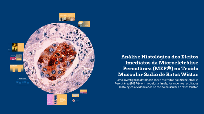 Análise Histológica dos Efeitos Imediatos da Microeletrólise Percutânea ...