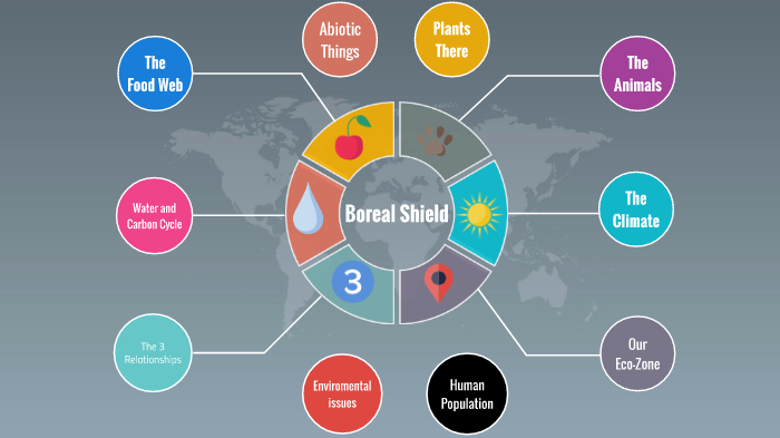 Boreal Shield by Edison Ma on Prezi