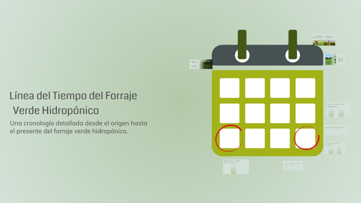 Línea del Tiempo del Forraje Verde Hidropónico by Yarahi León on Prezi