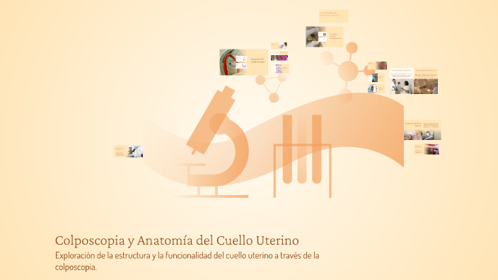 Colposcopia y Anatomía del Cuello Uterino by Rosana Flores Victoria on ...
